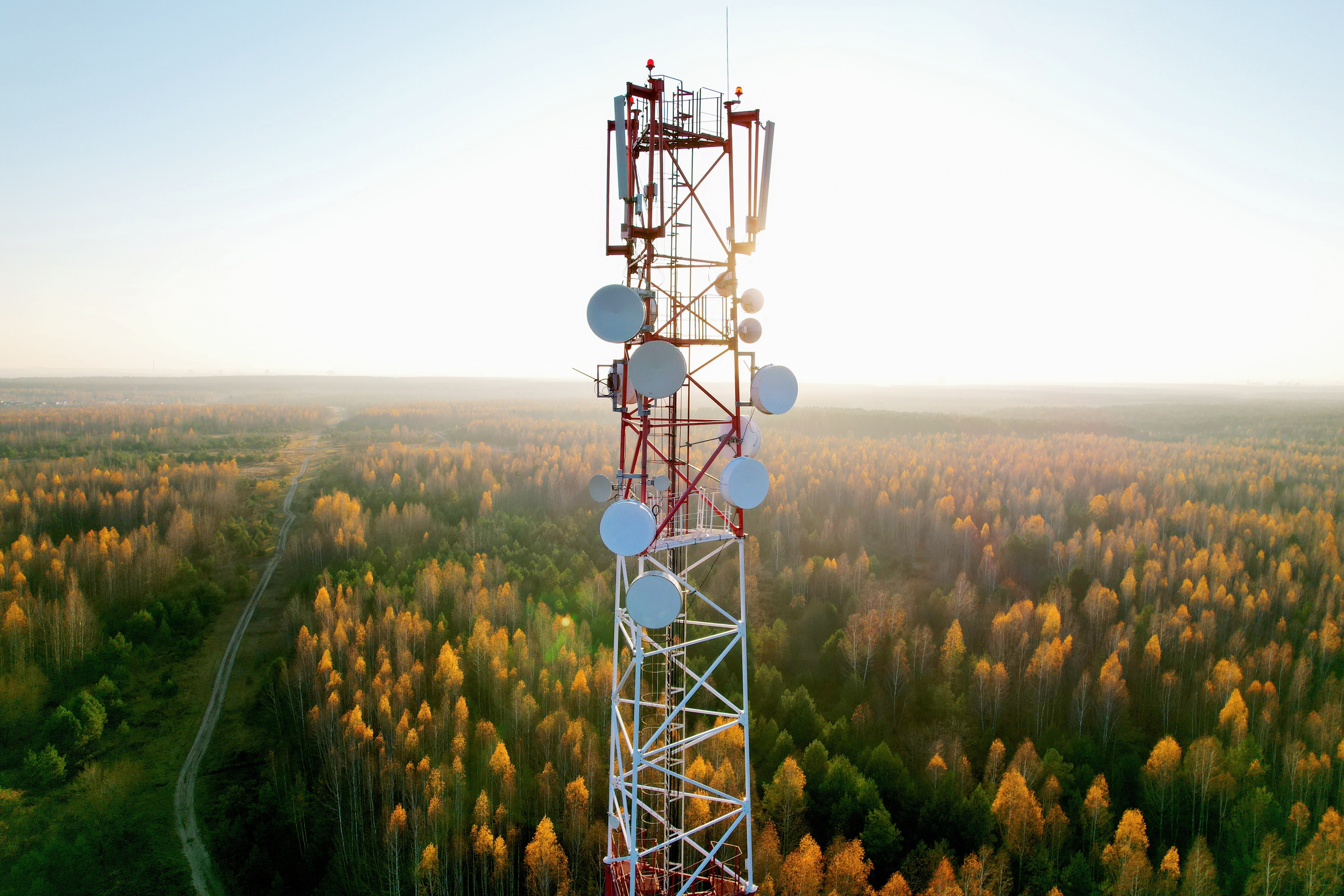 Articles | Blackline Support